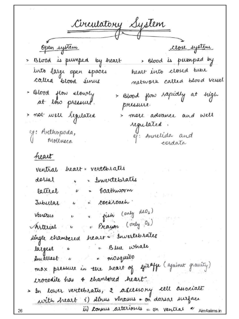 Circulatory System Pdf