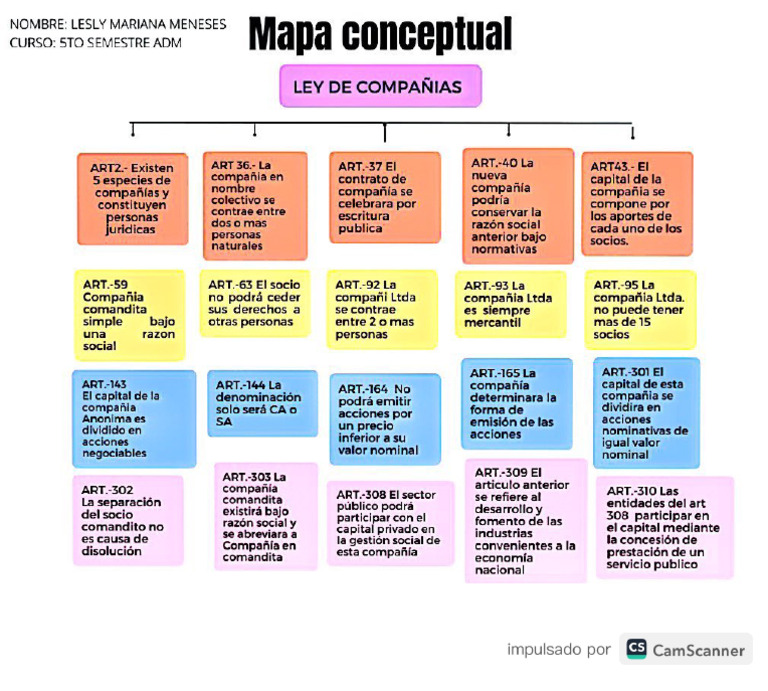 Menseses Mapa Concep Ley Comp | PDF