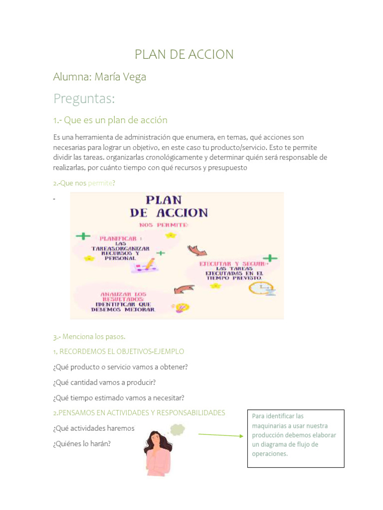 Plan de Accion | PDF
