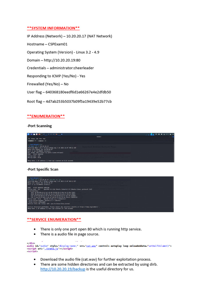 CSPExam Writeup | PDF