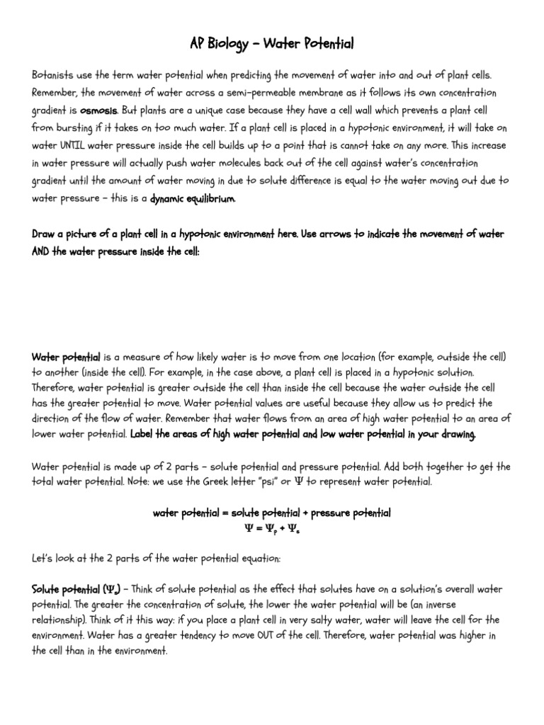 Water Potential Concepts in AP Biology | PDF | Osmosis | Chemistry