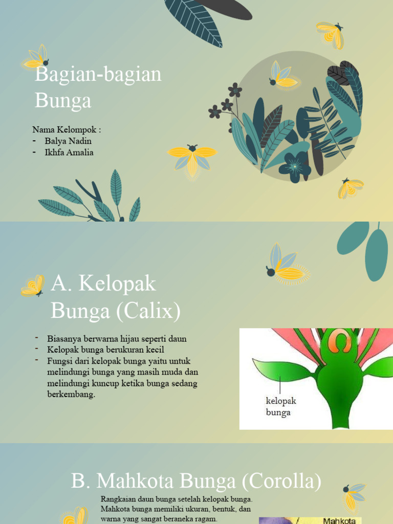 Bagian-Bagian Bunga dan Fungsinya | PDF