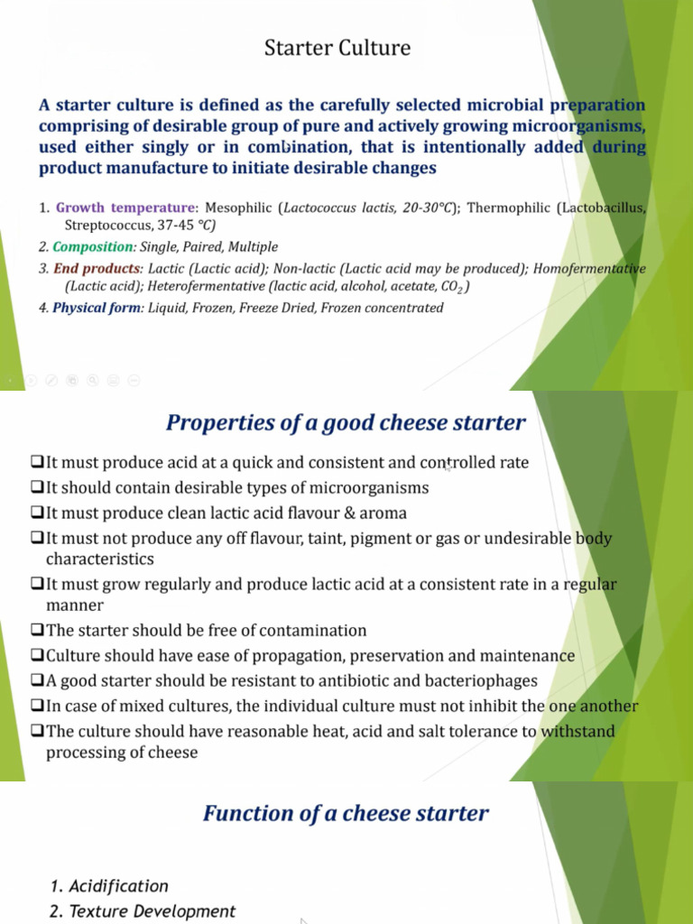 Cheese Starter | PDF