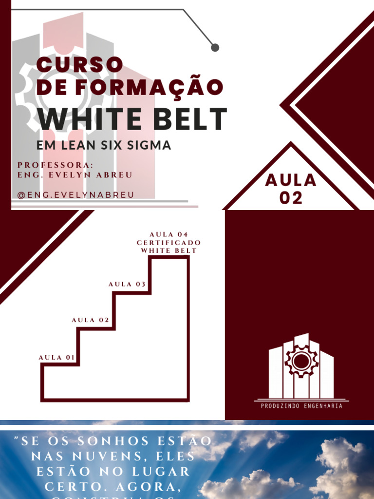 Apostila 2 - White Belt em Lean Six Sigma - 2024 | PDF