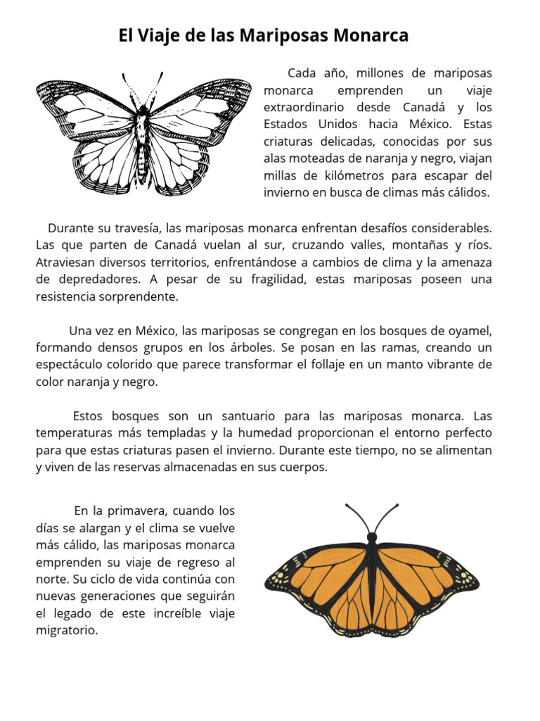 Viaje y Retos de la Mariposa Monarca | PDF | Mariposa