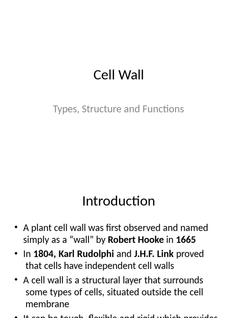 Cell Wall | PDF | Cell Wall | Cell (Biology)