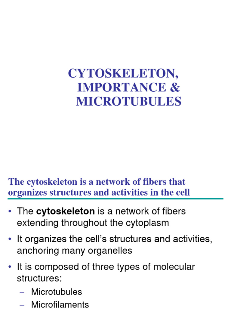 Cytoskeleton: Structure and Microtubule Functions | PDF | Cytoskeleton ...