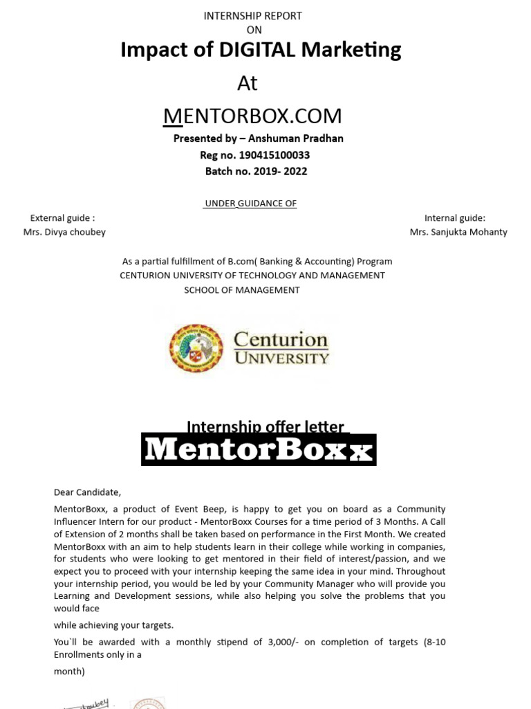 Internship Report On Digital Marketing | PDF