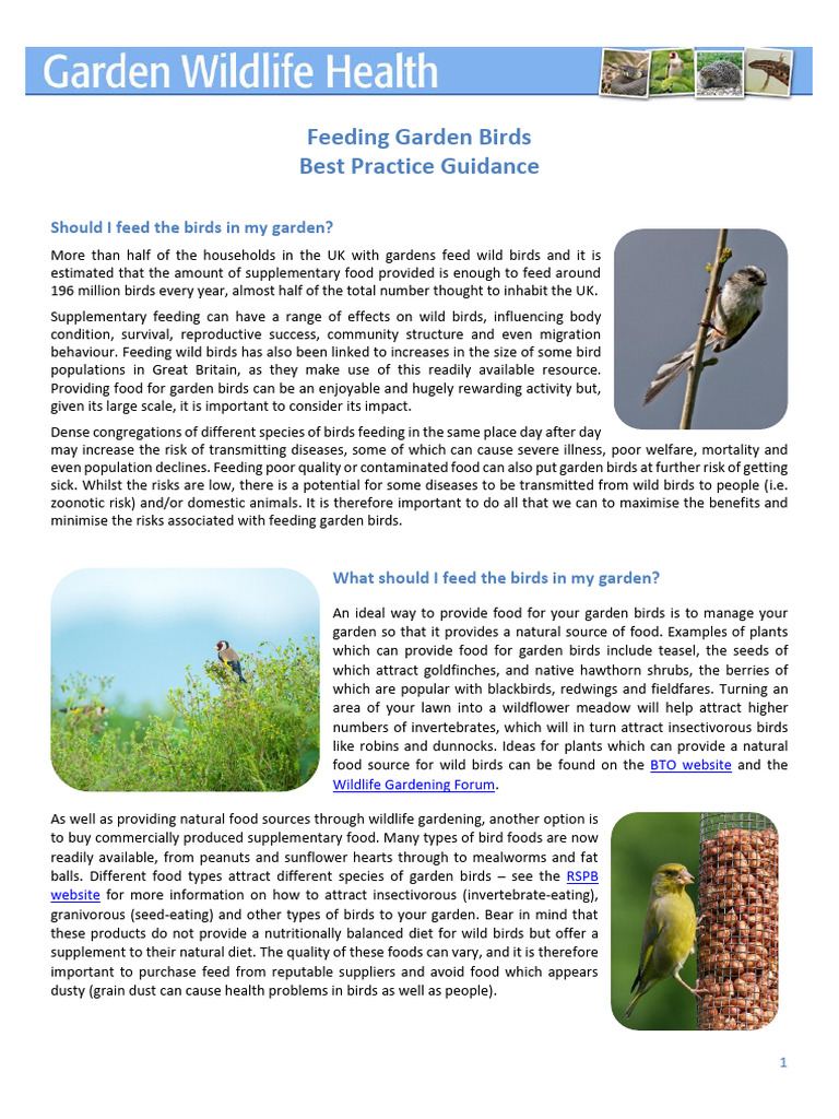 Feeding Garden Birds Best Practice Guidance | PDF Feeding Garden Birds Best Practice Guidance | PDF