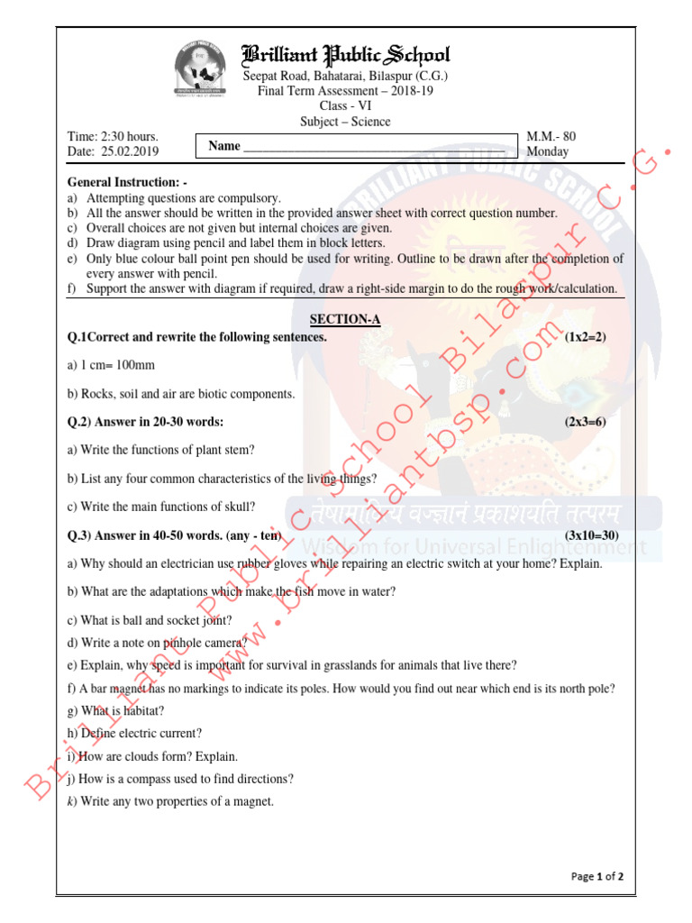 Science Annual Exam 2018-19 Class - 6-1 | PDF | Electromagnetism ...