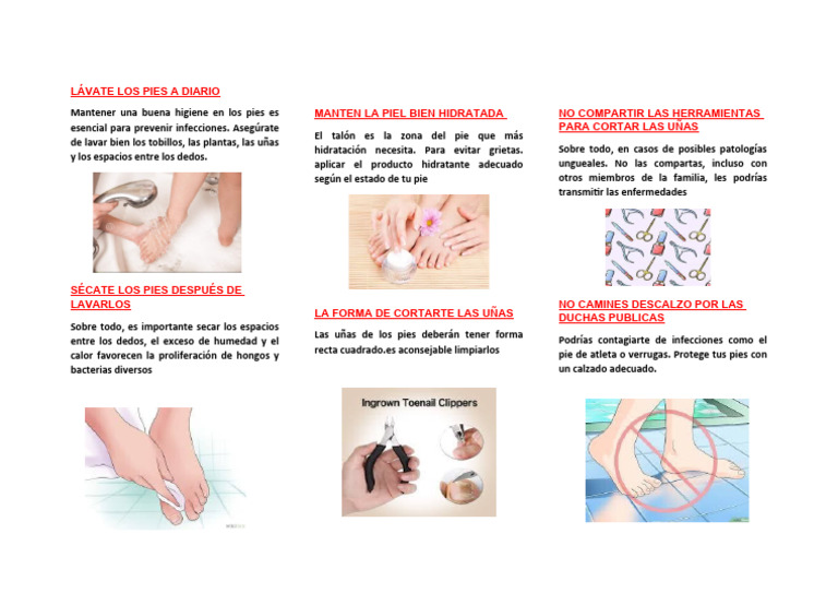 Triptico - Docx 2 | PDF