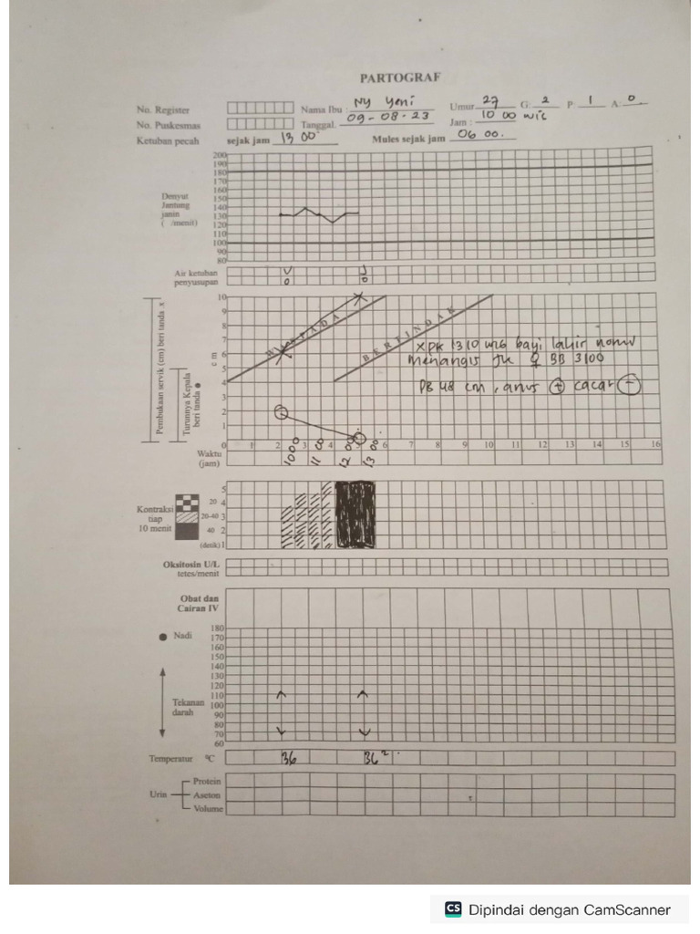 4.2.1.4. Pengisian Partograf | PDF