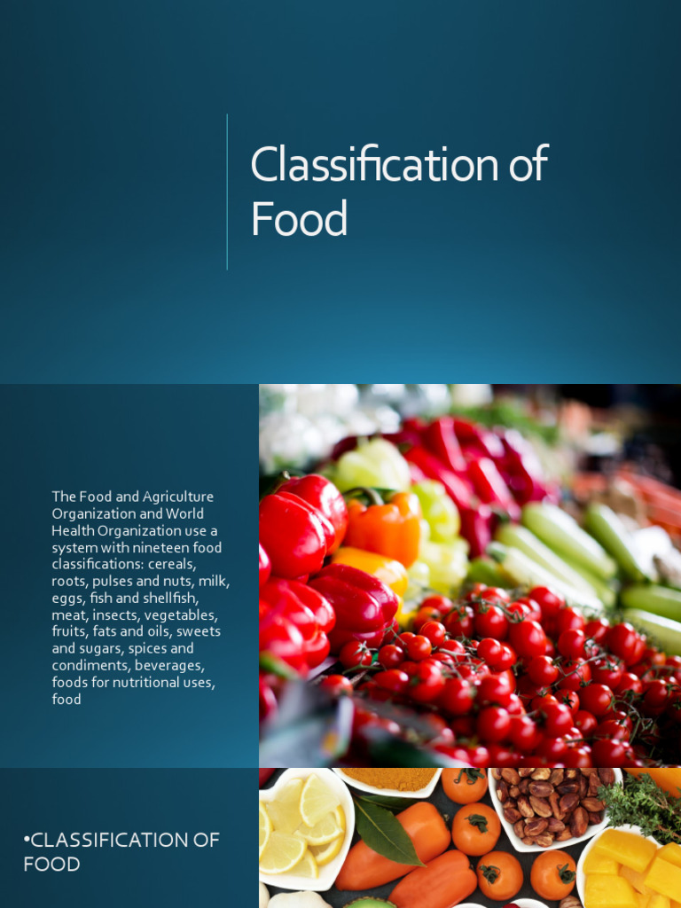 Classification of Food | PDF