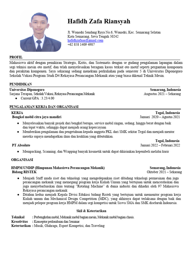 CV Hafidh Zafa Riansyah | PDF | Karier & Perkembangan | Seni
