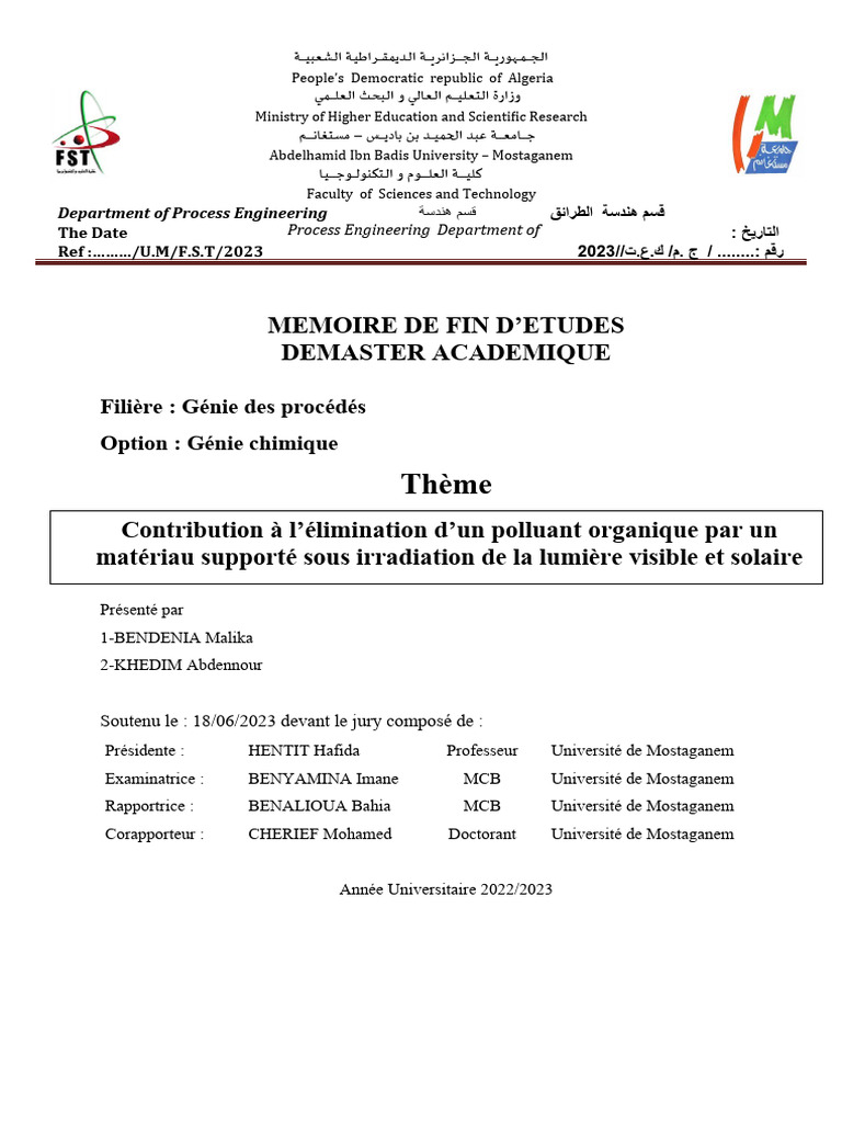 Mémoire Malika Abdennour | PDF