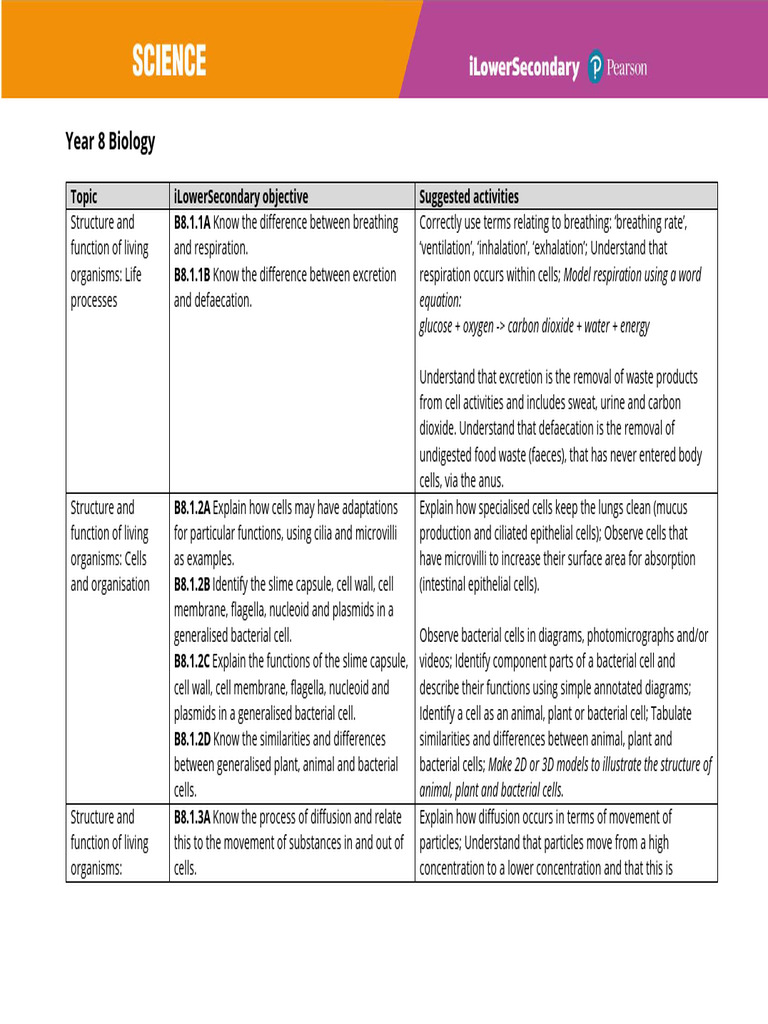 Year 8 Biology and Chemistry Curriculum | PDF | Buoyancy | Rock (Geology)