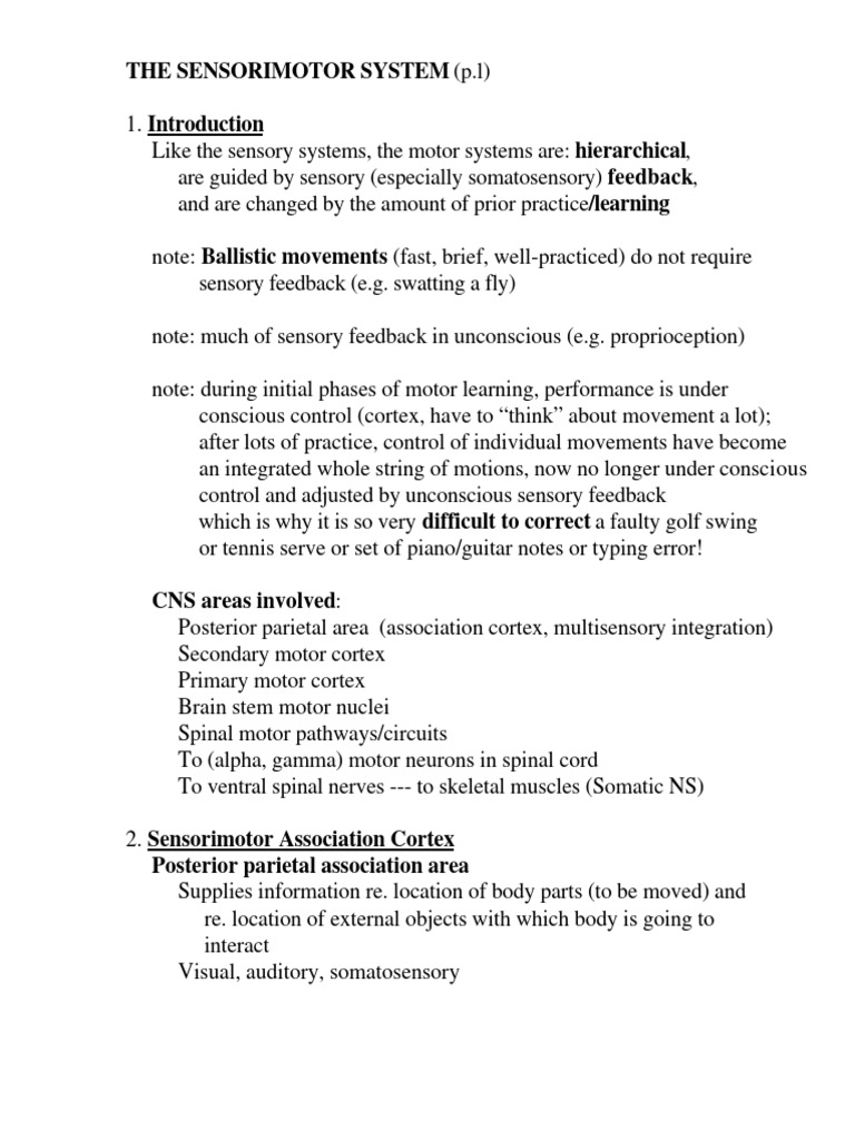 306 Sensorimotor System | PDF | Wellness | Science & Mathematics
