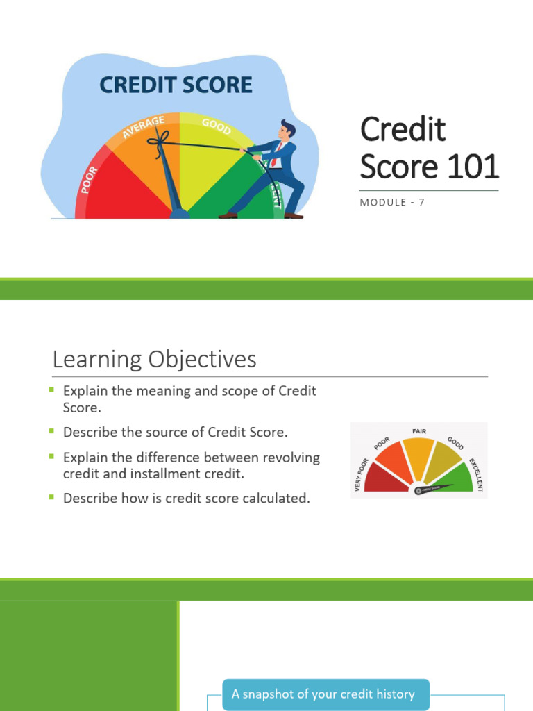 Module7 Credit Score 101 | PDF