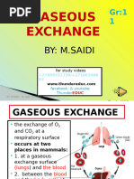 Gaseous Exchange Grade 11 | PDF | Breathing | Lung