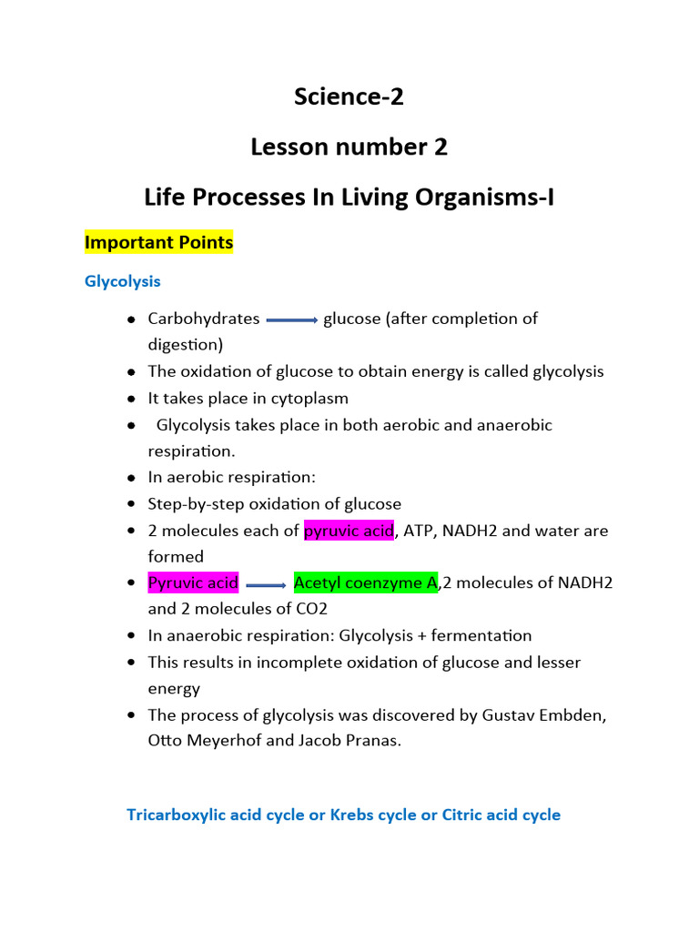 Science 2 | PDF