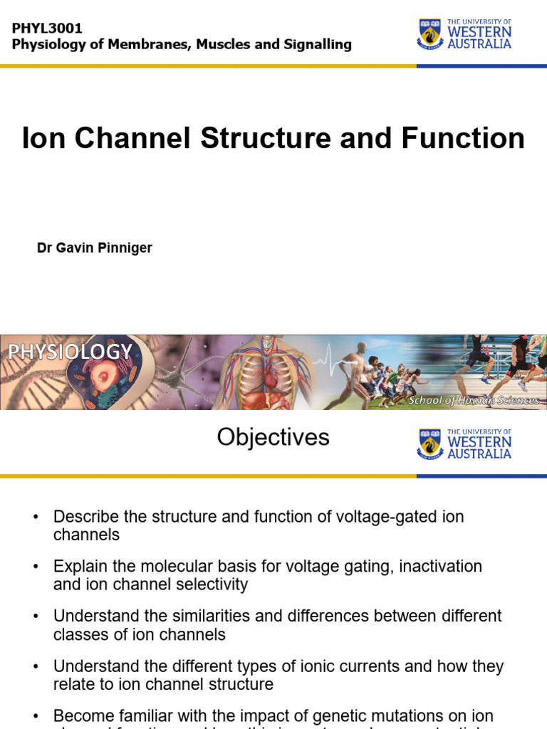 Ion Channel Structure and Function | Download Free PDF | Ion Channel | Electrophysiology