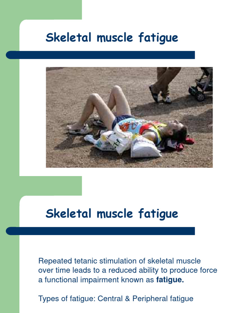 3001 - Skeletal Muscle Lec 3 - Fatigue 2022 | PDF