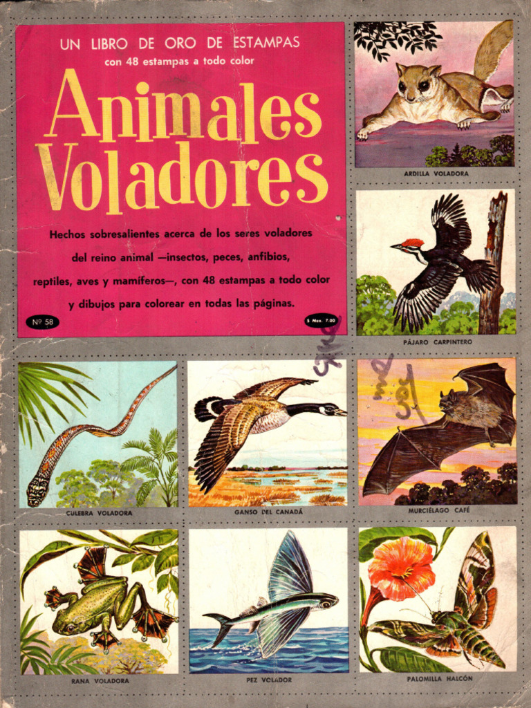 Un Libro de Oro de Estampas, Animales Voladores 1963 (Novaro Mexico) | PDF