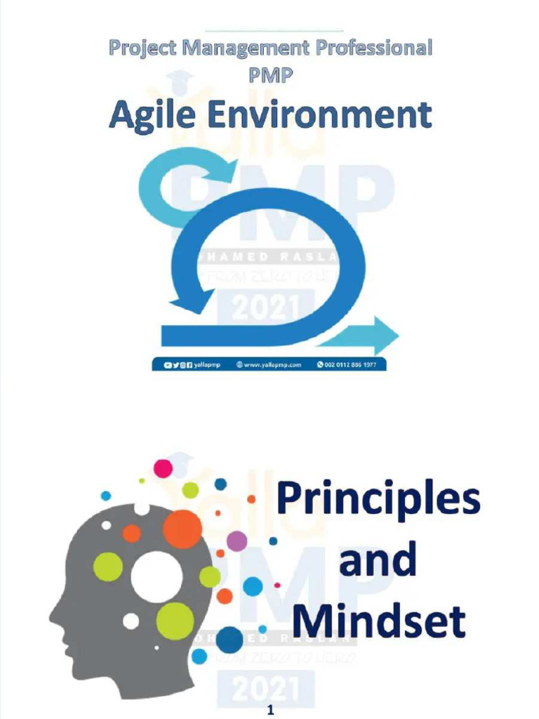 PDF PMP Agile Environment Compress | PDF