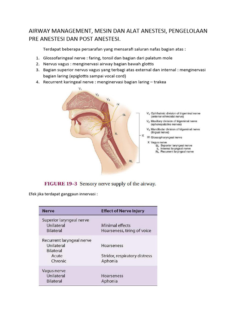 Airway Management | PDF