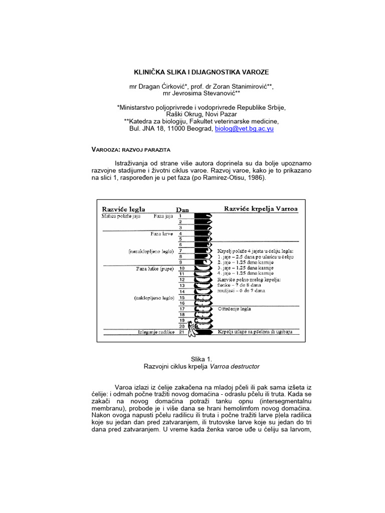Klinicka Slika I Dijagnostika Varoze | PDF