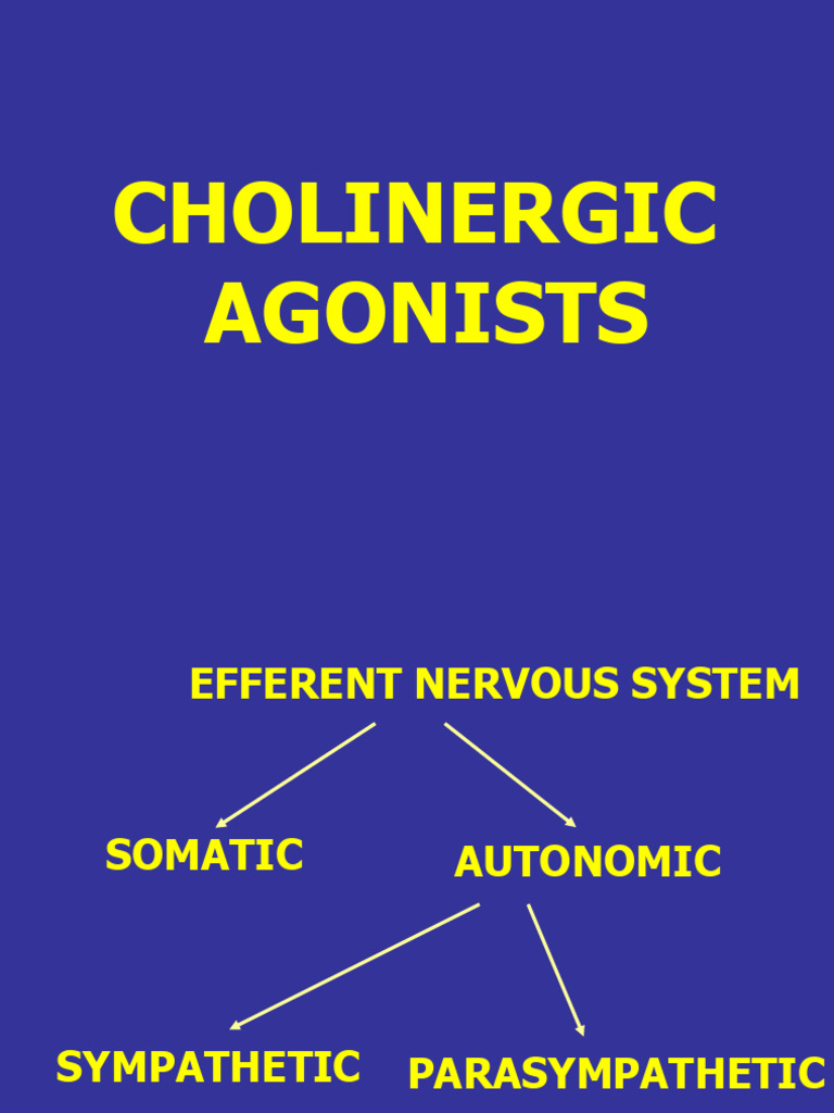 Lecture 4 - Cholinergic Agonists | PDF