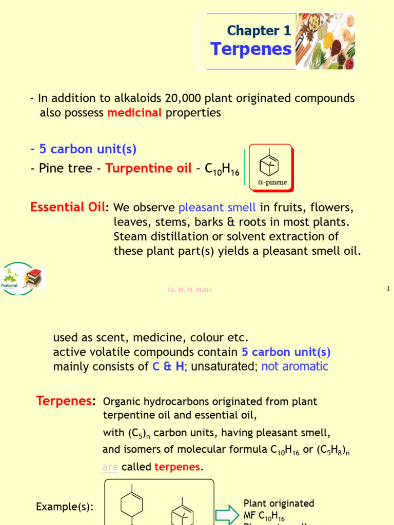 Terpenes MS 2021 | PDF