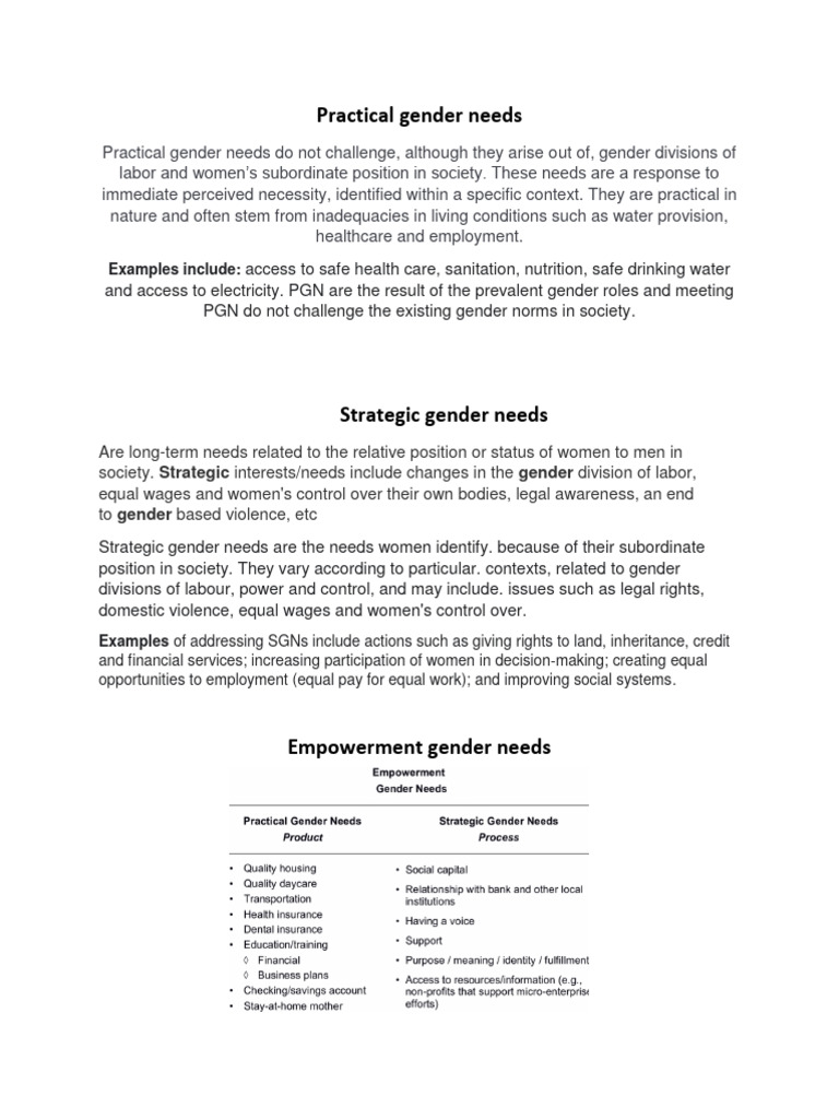 Practical Gender Needs | PDF