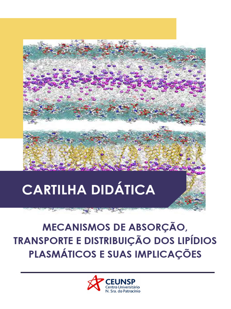 2394 Cartilha Didatica | PDF