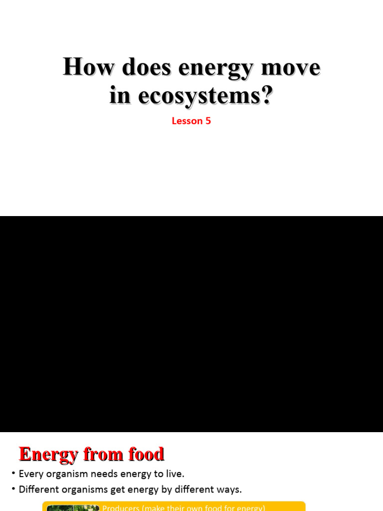 How does energy move in ecosystems | PDF