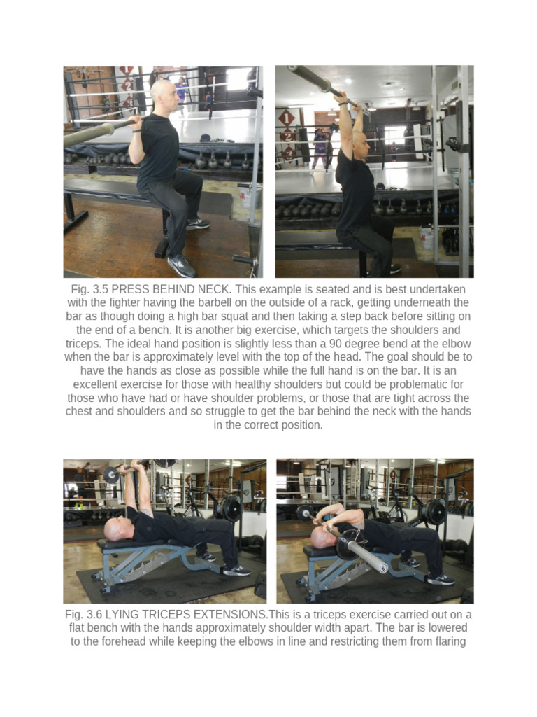 Mma 1 36 Pdf Elbow Arm