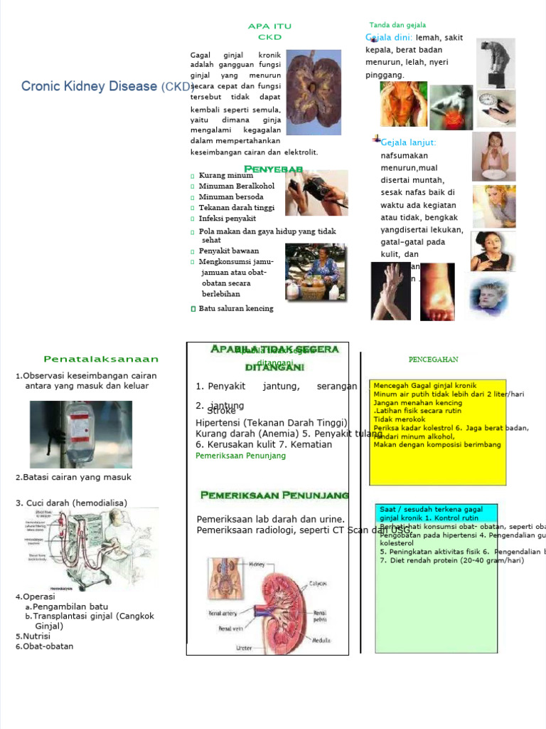 PDF Leaflet CKD - Compress | PDF
