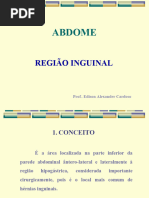 Anatomia da Região Inguinal | PDF | Anatomia