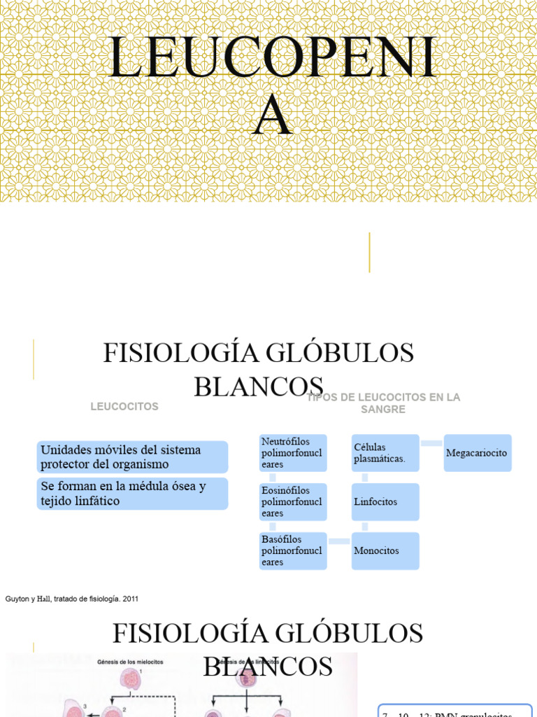 Fisiología y Tipos de Leucocitos | PDF | Leucocito | Sangre