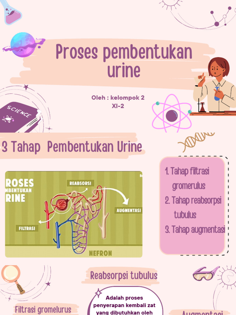 Proses Pembentukan Urine - 20240126 - 073516 - 0000 | PDF