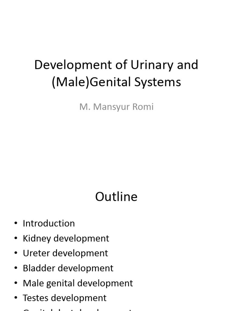 Lecture 3-Development of Uro (M) Genital System-Dr. Dr. M. Mansyur Romi ...