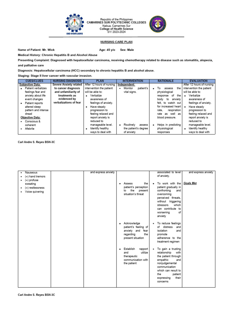 Nursing Care Plan | Download Free PDF | Anxiety | Clinical Medicine