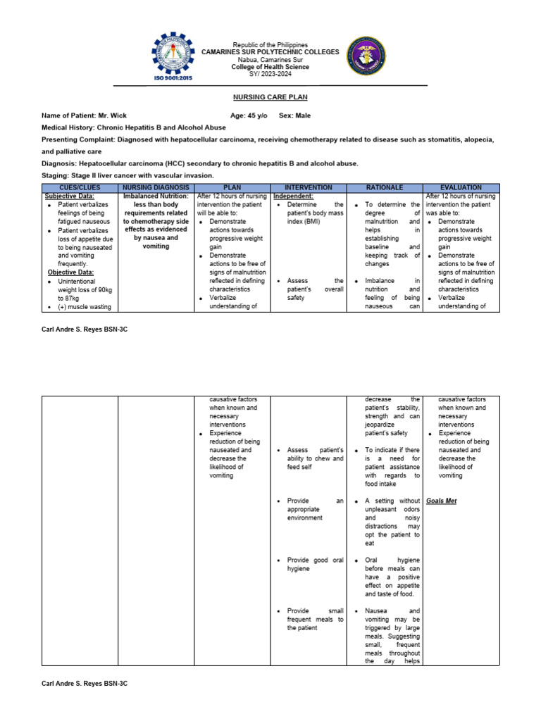 Nursing Care Plan 2 | PDF | Nausea | Vomiting