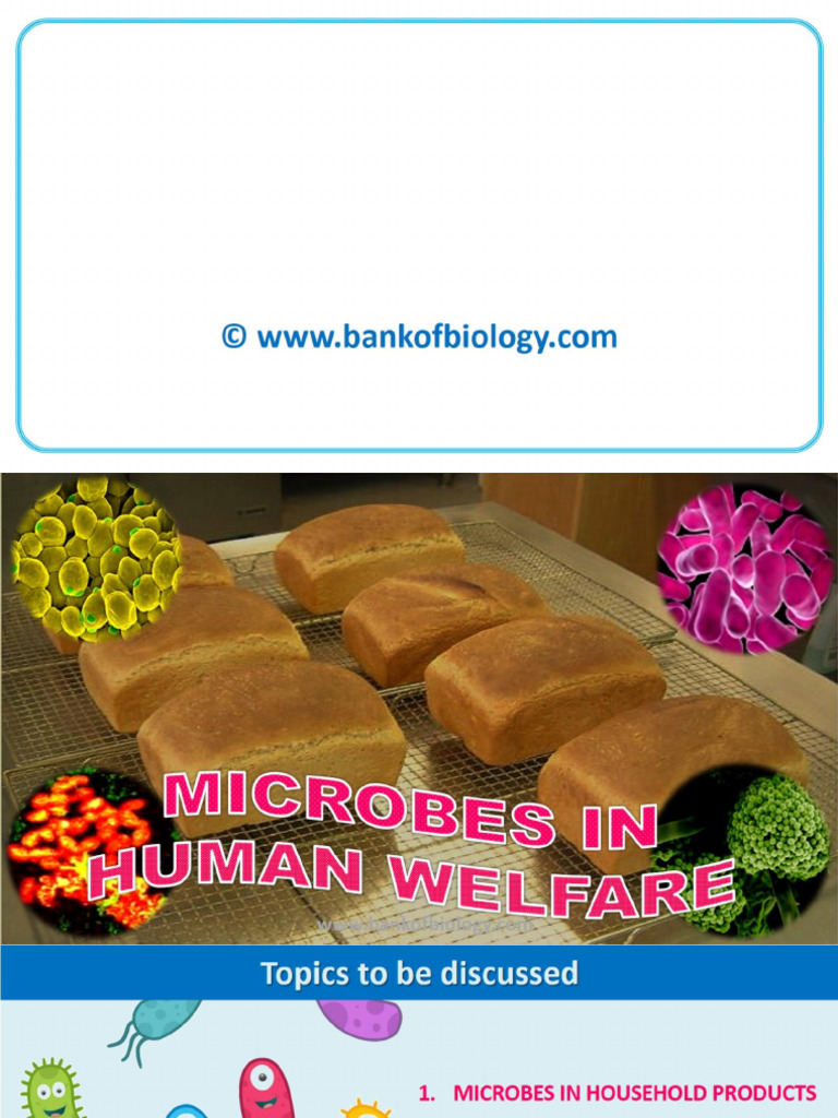 10 Microbes in Human Welfare Ppt | PDF