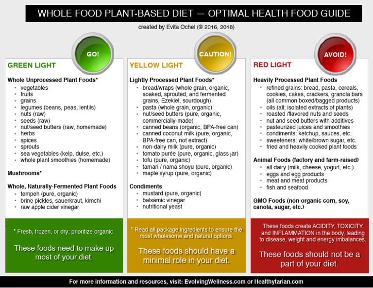 Whole Food Plant-Based Diet Food Guide | PDF