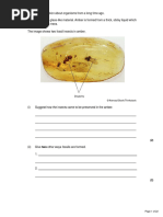 Collins Year 9 Science Workbook | PDF