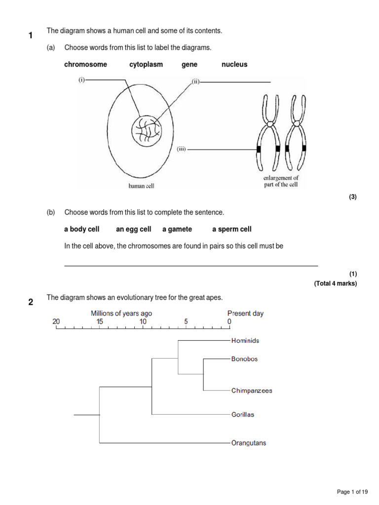 Inheritance 1 3 8 | PDF | Sexual Reproduction | Evolution