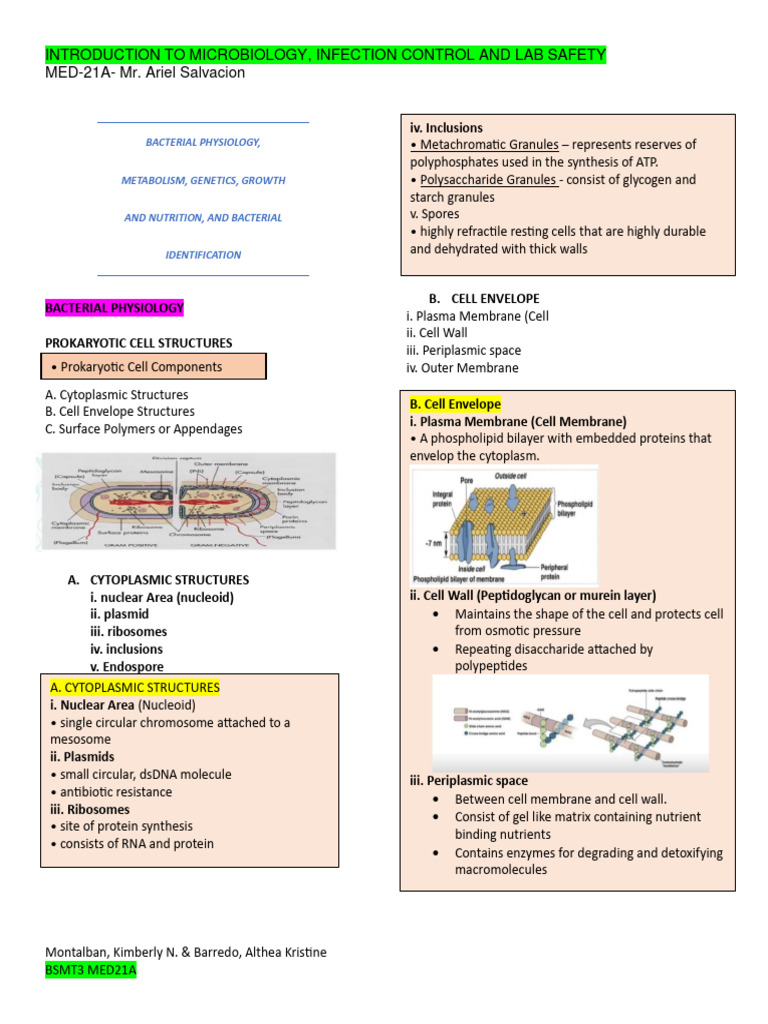Week 2 Lecture | PDF | Cell (Biology) | Bacteria
