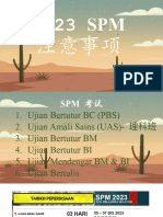 2025dse Chi Paper2 | PDF