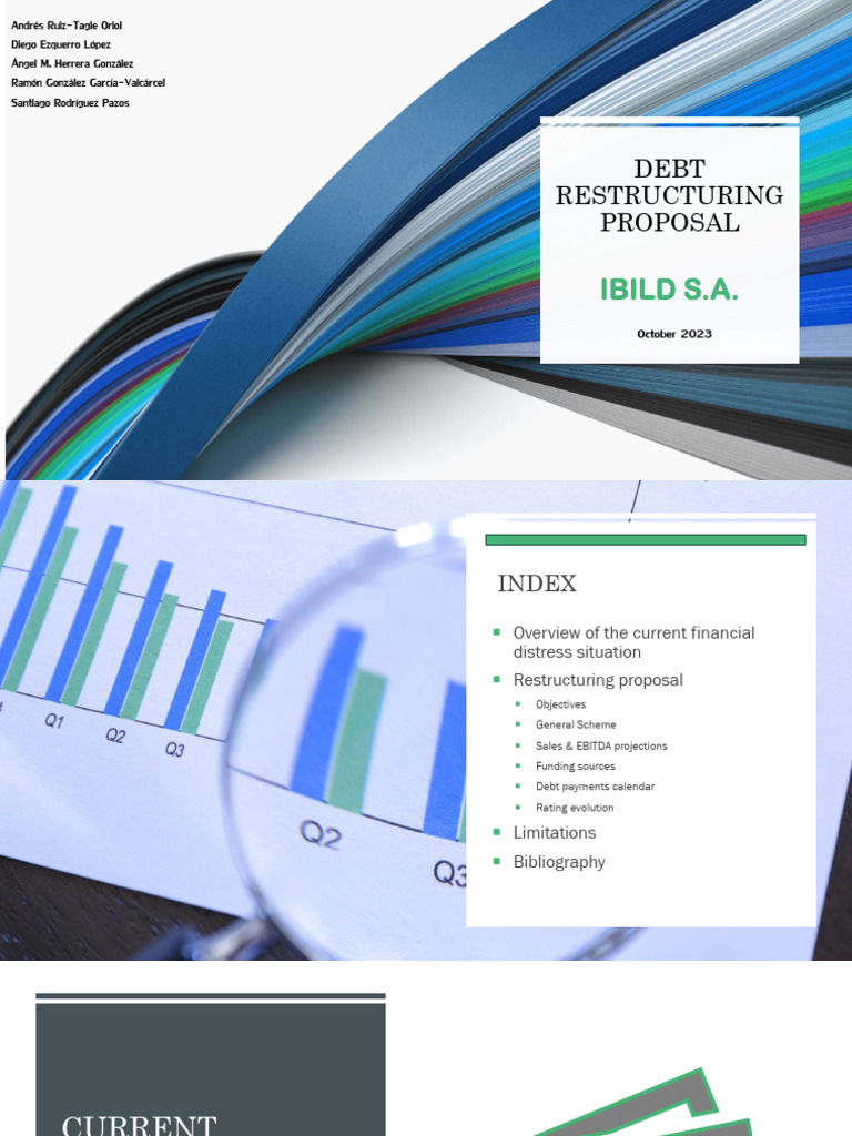 IBILD S.A. Debt Restructuring Proposal | PDF